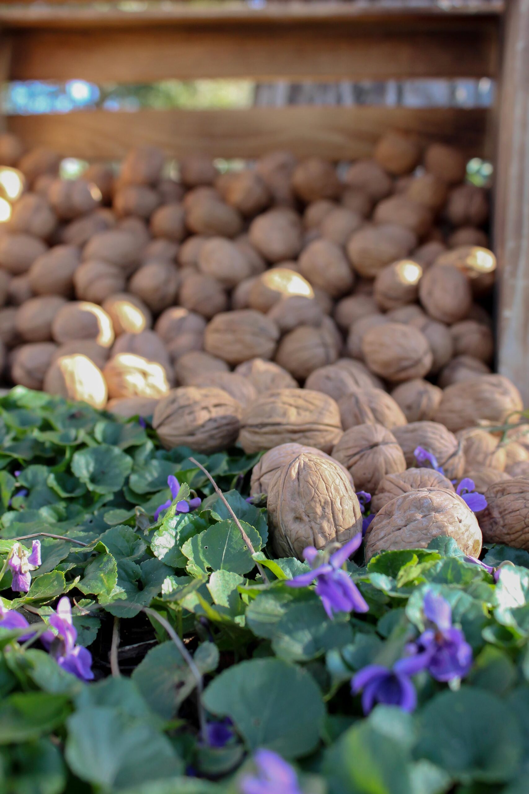 Contact Us - Eco-Shell